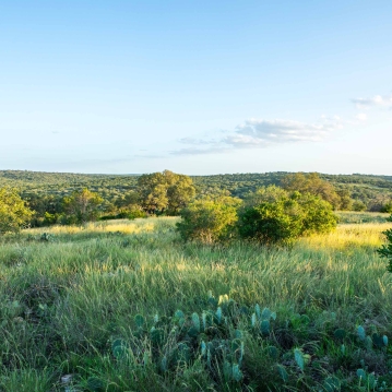 All Properties | Ranches for Sale in Texas | Meek Ranch Sales