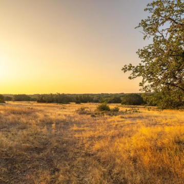 All Properties | Ranches for Sale in Texas | Meek Ranch Sales