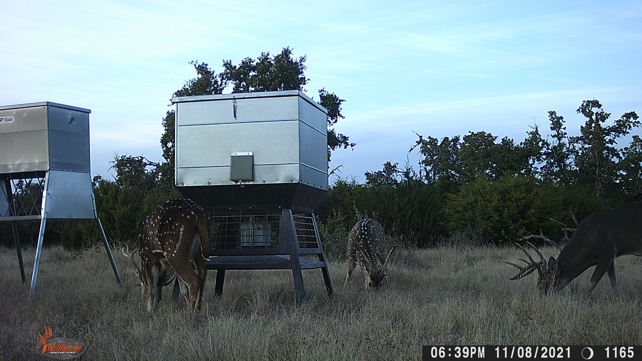 MKMJ Ranch | Meek Ranch Sales