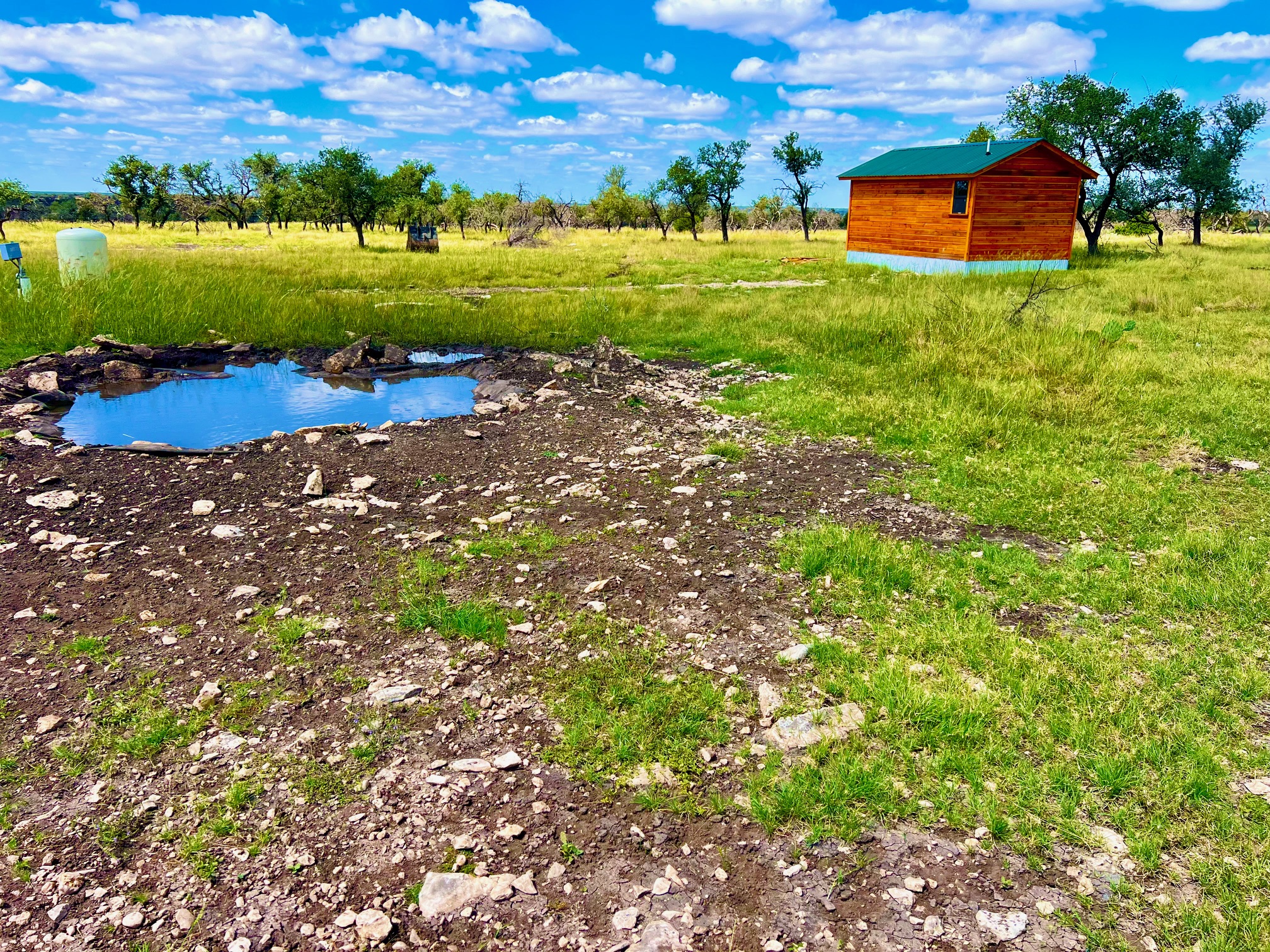 Ten Point Ranch | Meek Ranch Sales