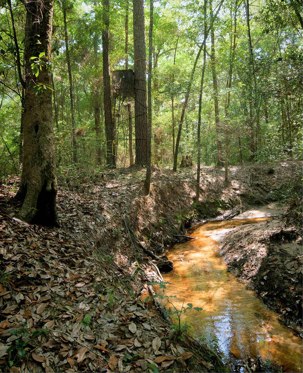 Ivy Acres | Texas Ranch Sales | Meek Ranch Sales