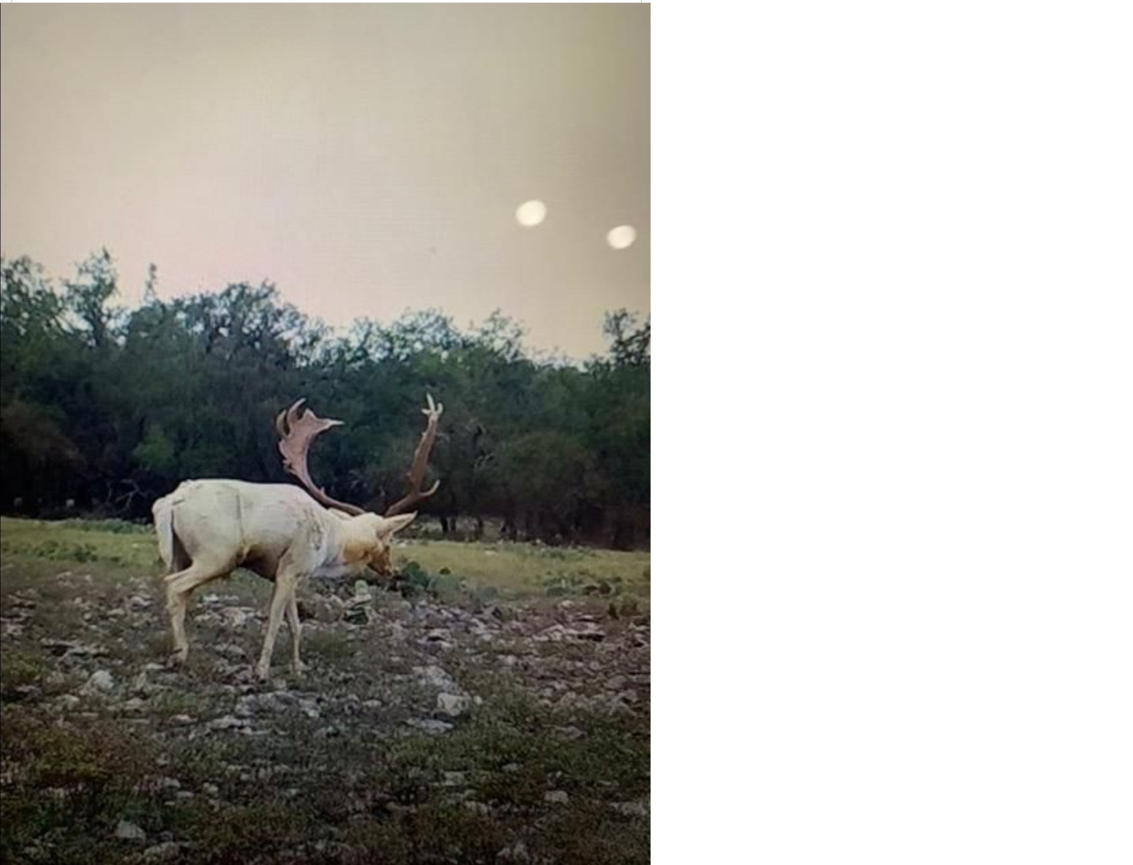 [CLOSED] Vista Ridge Ranch | Meek Ranch Sales