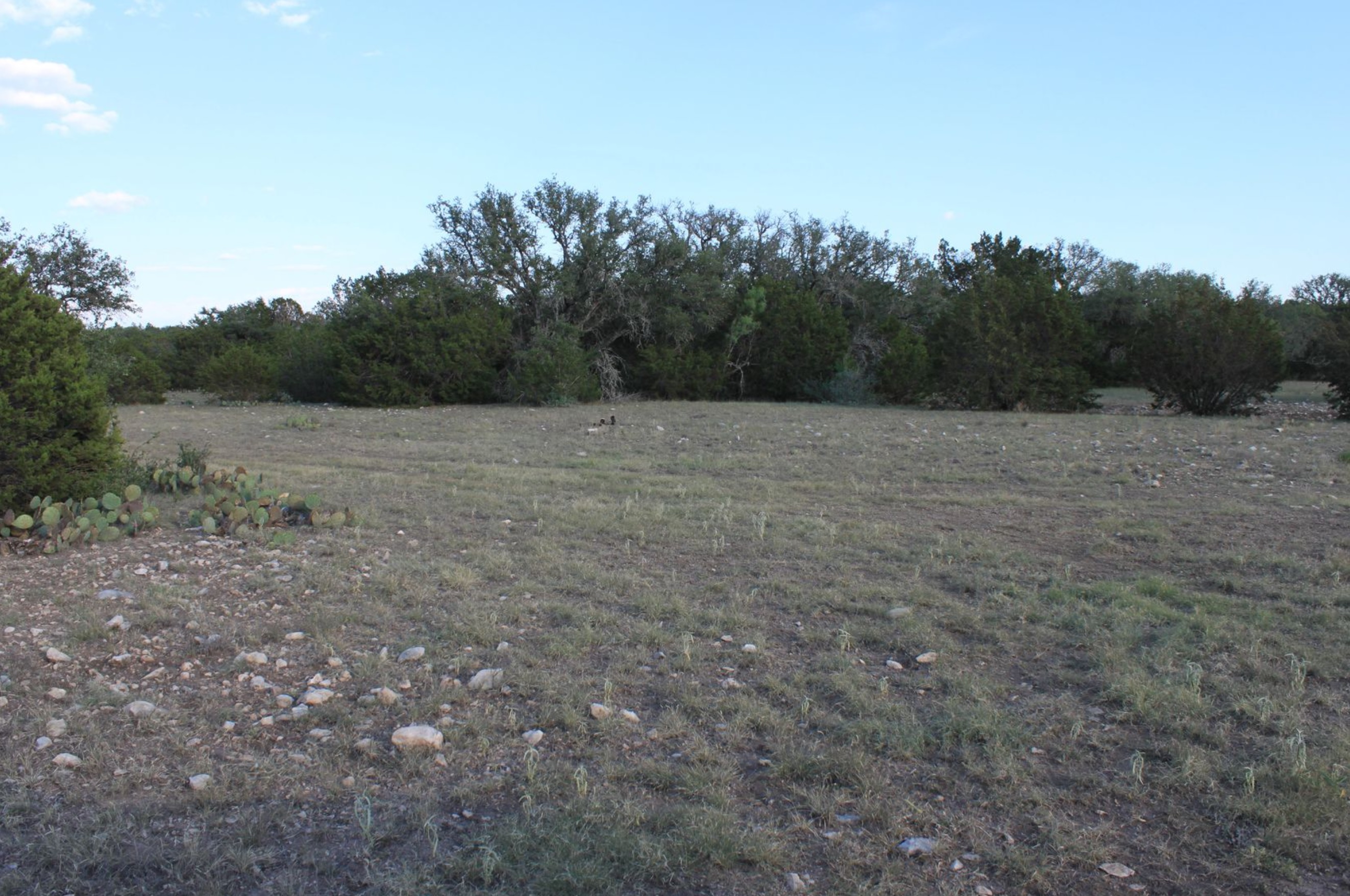 [CLOSED] Vista Ridge Ranch | Meek Ranch Sales