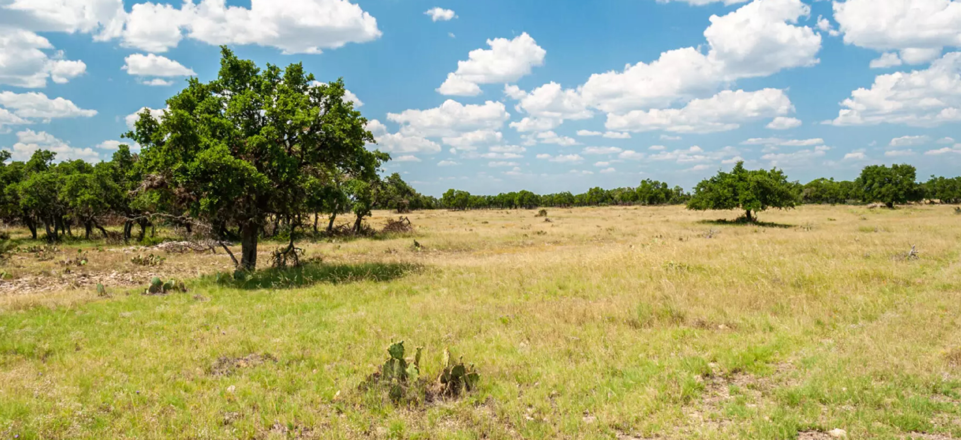 [SOLD] High Ridge Ranch | Meek Ranch Sales