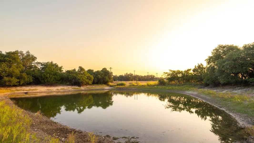 Bull Buck Ranch | Meek Ranch Sales