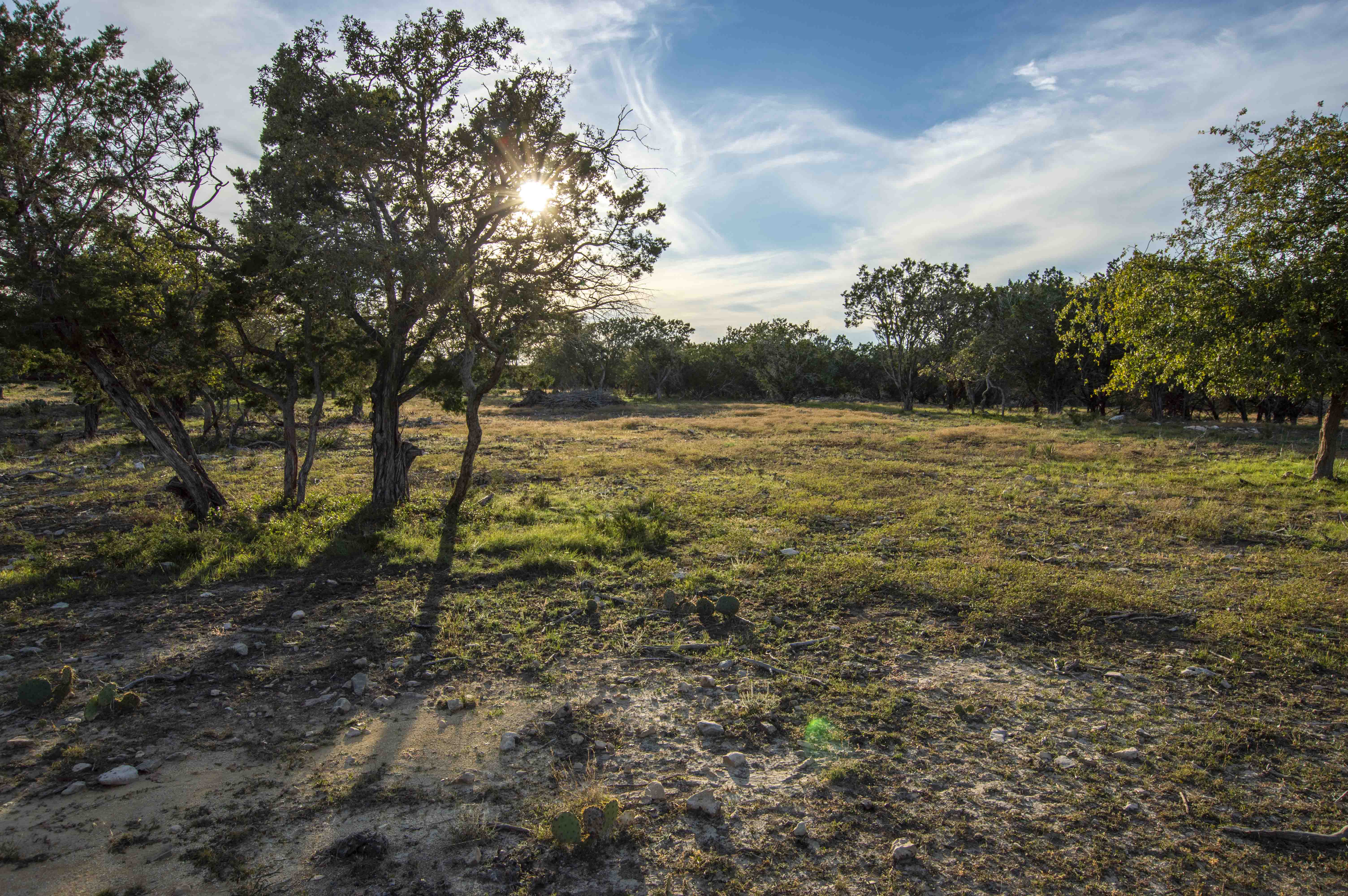 West Kerr Game Ranch | Meek Ranch Sales