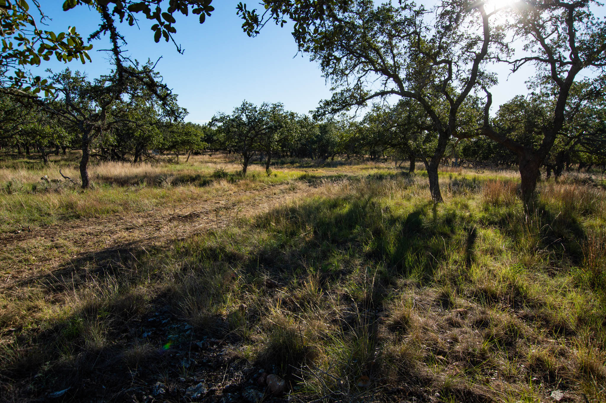[SOLD] Legacy Oaks Ranch | Meek Ranch Sales
